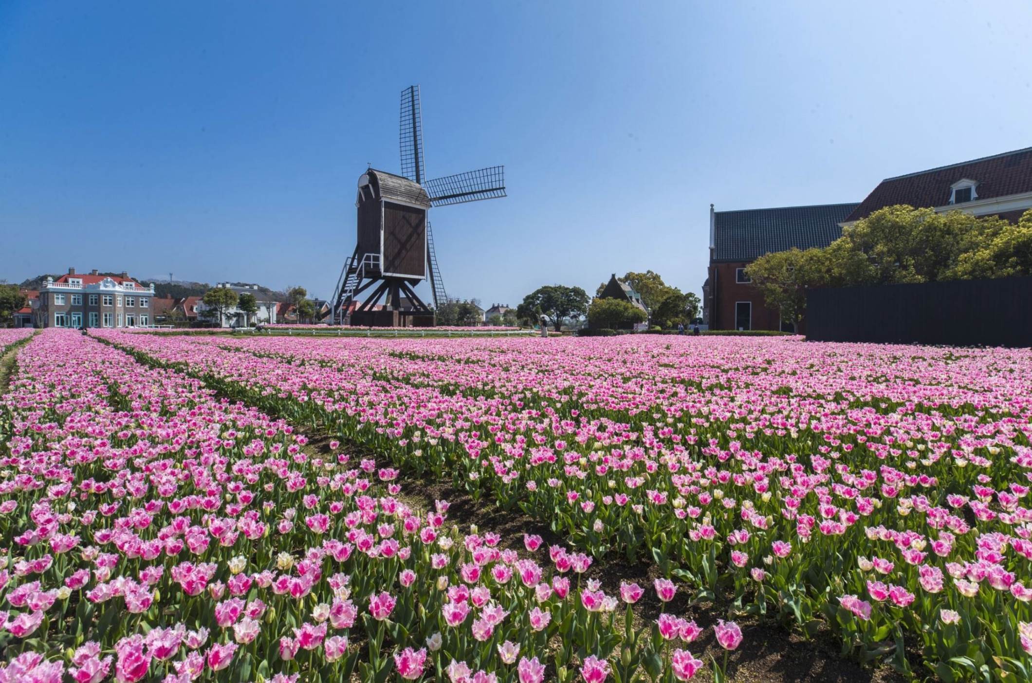 九州 のツアー・旅行を探すなら格安旅行のJJ tour【東京発】